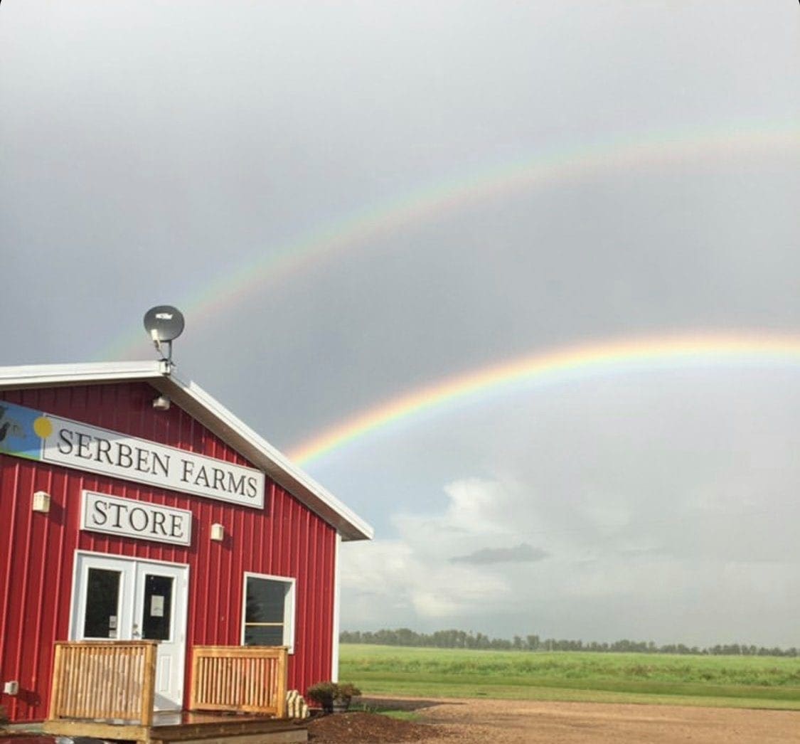 Where You Can Shop On Farm in Alberta | Alberta Open Farm Days