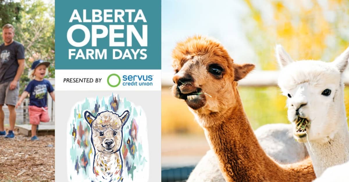 Open Farm Days Farm Experiences | Alberta Open Farm Days