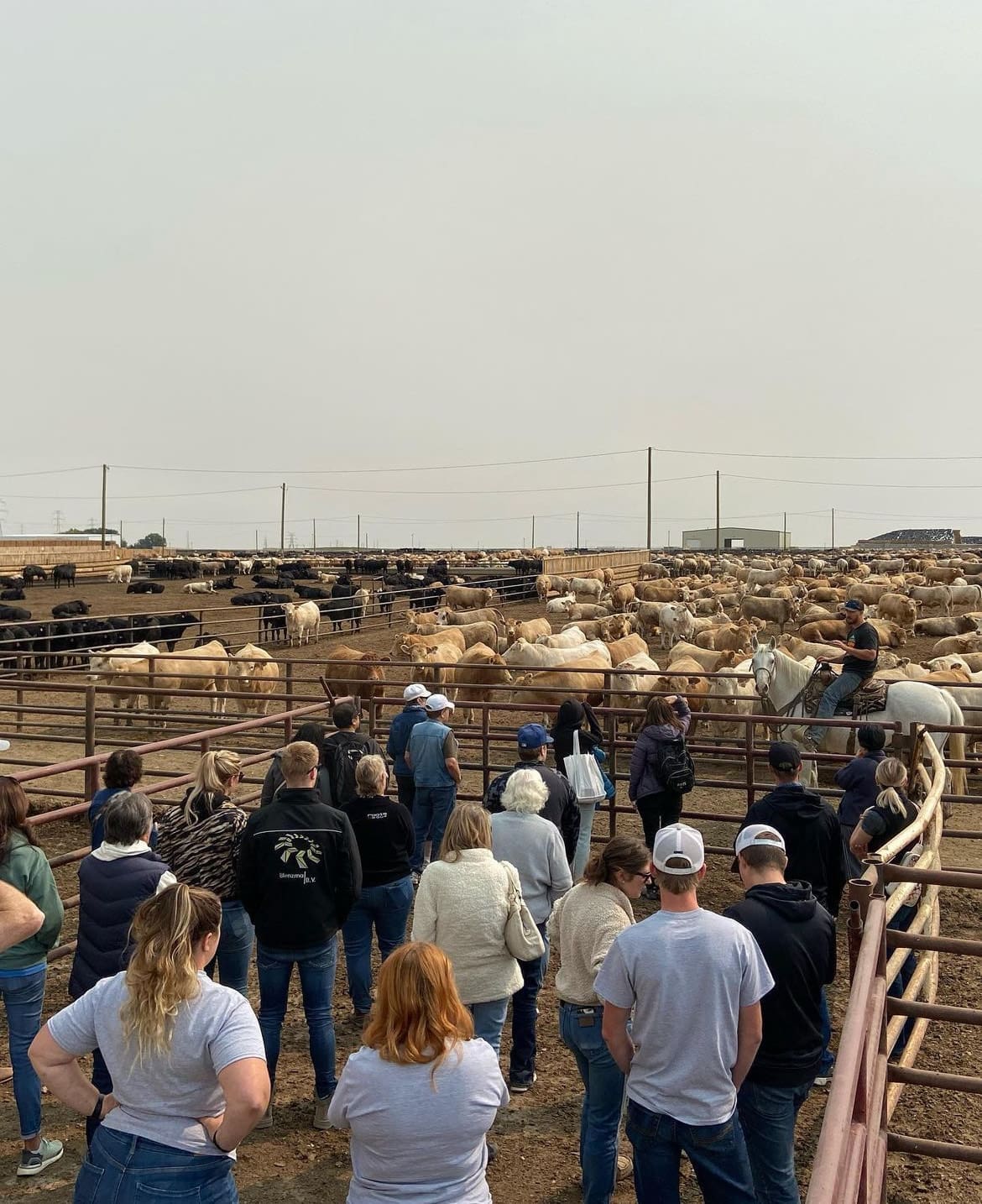 Coaldale and District Agricultural Society Bus Tour | Alberta Open Farm ...