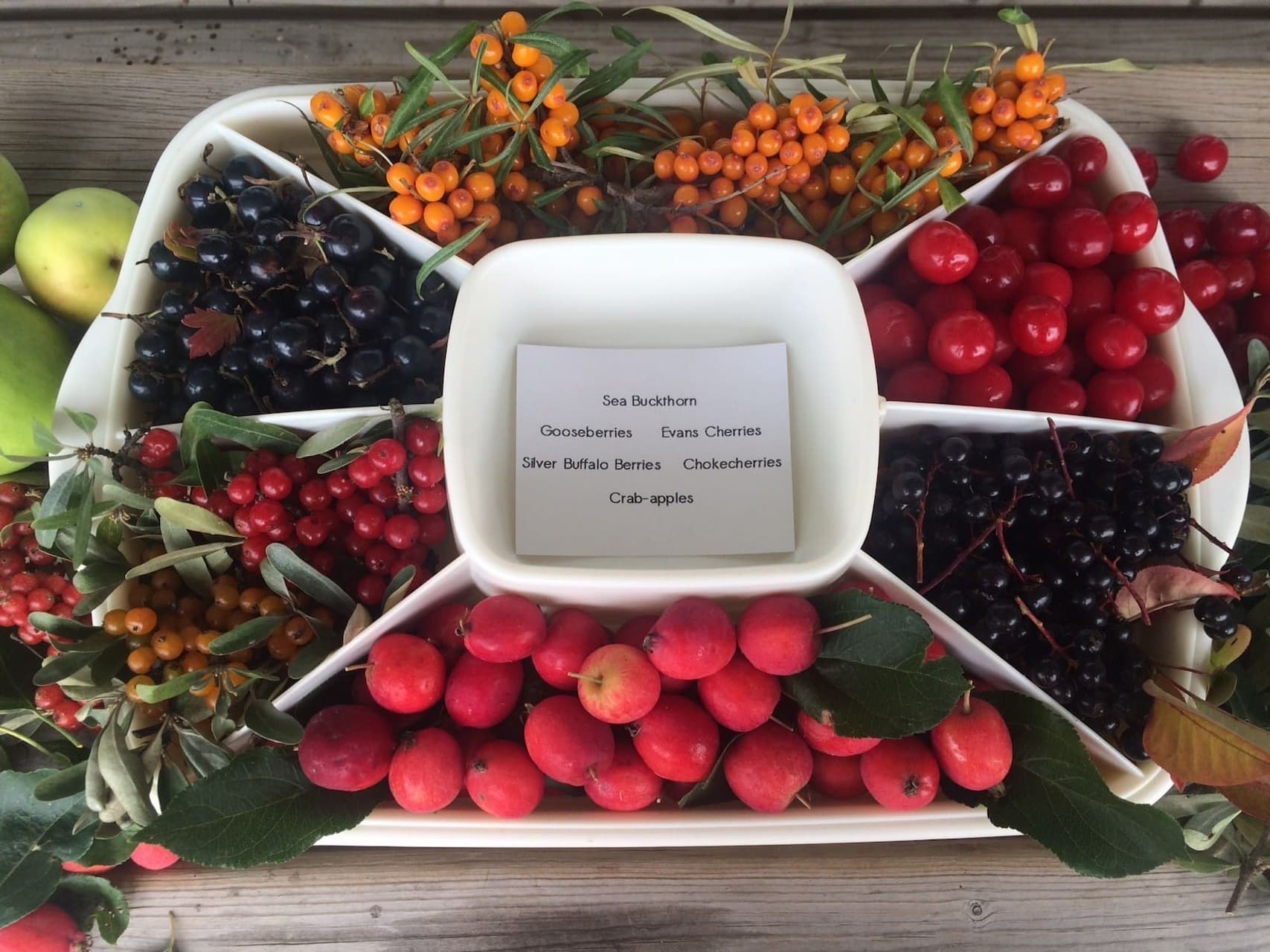 Billyco Junction Ltd. | Alberta Open Farm Days