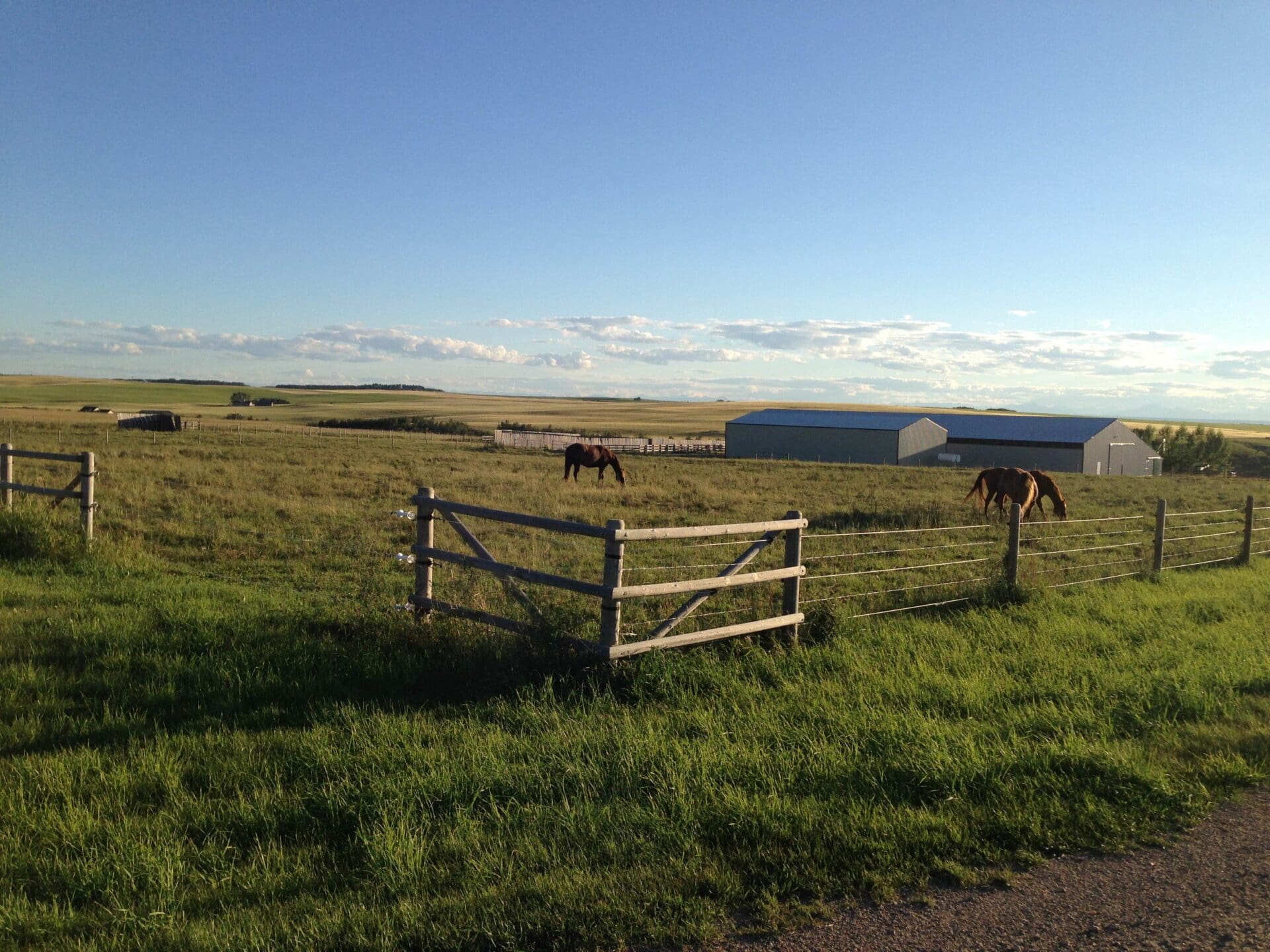 Rafter U7 Ranch and Wellness Centre | Alberta Open Farm Days